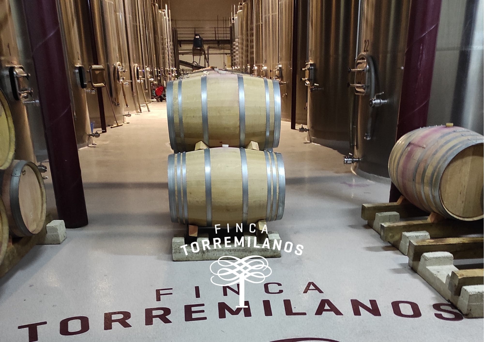 TRASIEGO DEL VINO: ¿QUÉ ES? | Bodega Finca Torremilanos